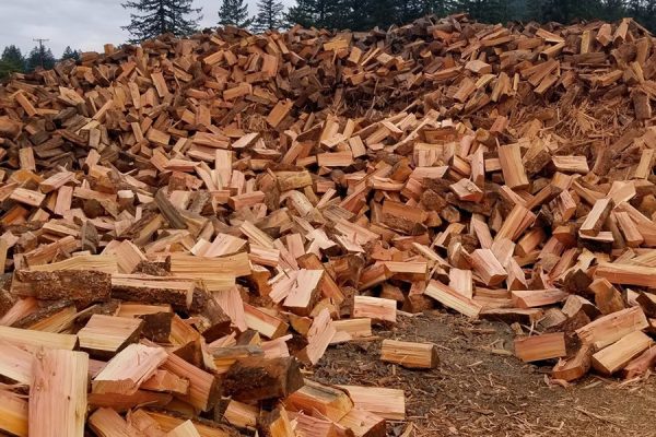 Is Fir Good For Firewood - Using Fir For Burning - PlantNative.org