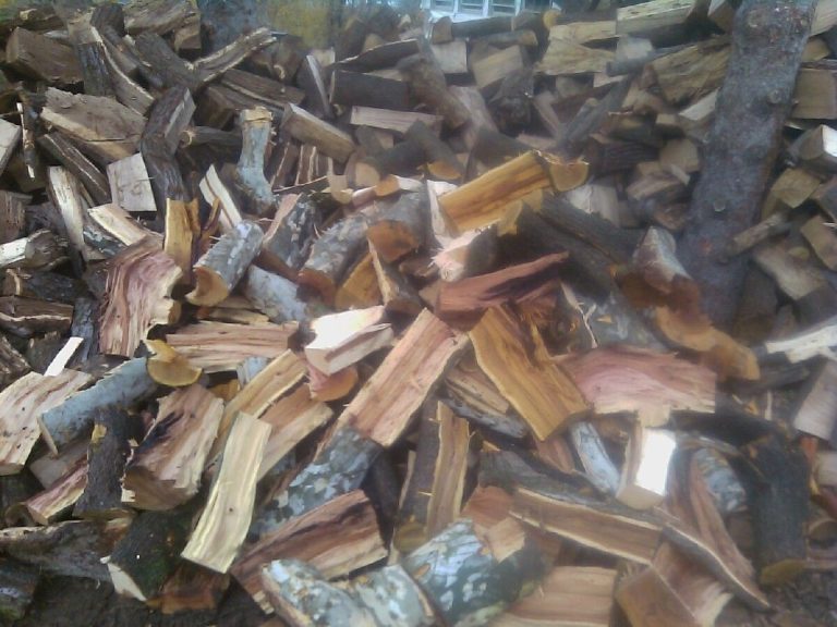 Is Sycamore Good For Firewood - Is Sycamore Good for Burning ...