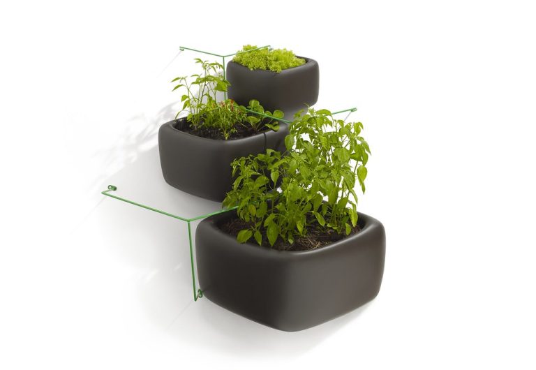 Best Garden Pot Feet for Drainage: Native Plant Guide