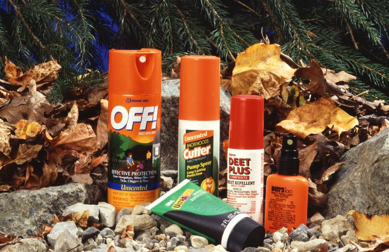 Best Insect Repellents for Gardeners: Protect Your Plants and Yourself ...