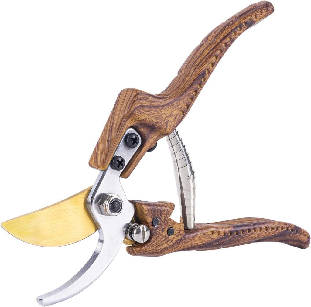 Best Pruning Shears for Roses: Top Picks for 2025 - PlantNative.org