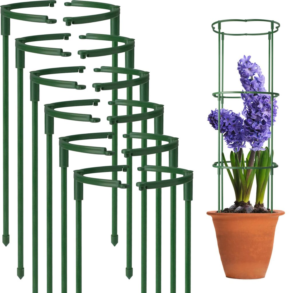 Best Plant Supports for Tall Native Plants: A Comprehensive Guide ...
