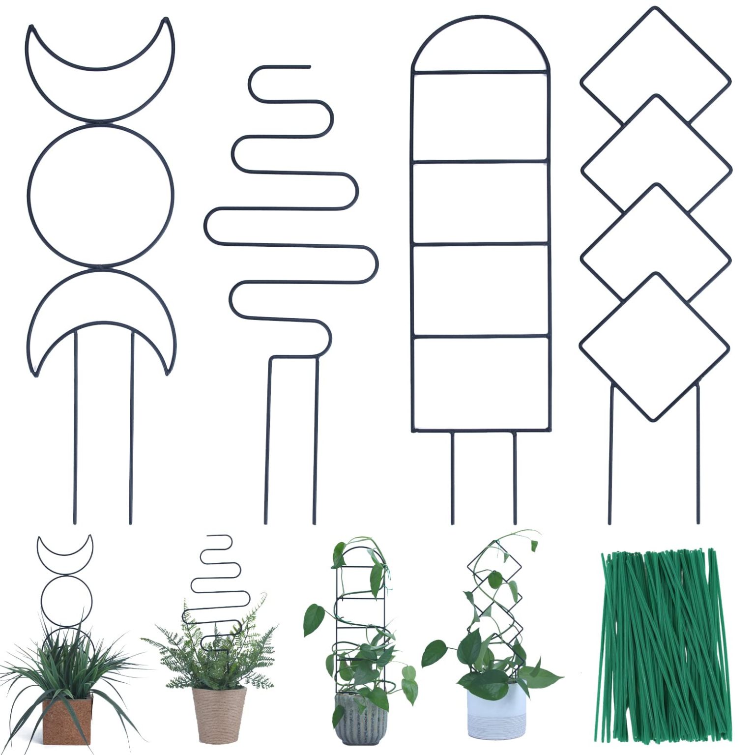 Best Trellises for Climbing Plants: Top Picks for 2026 - PlantNative.org