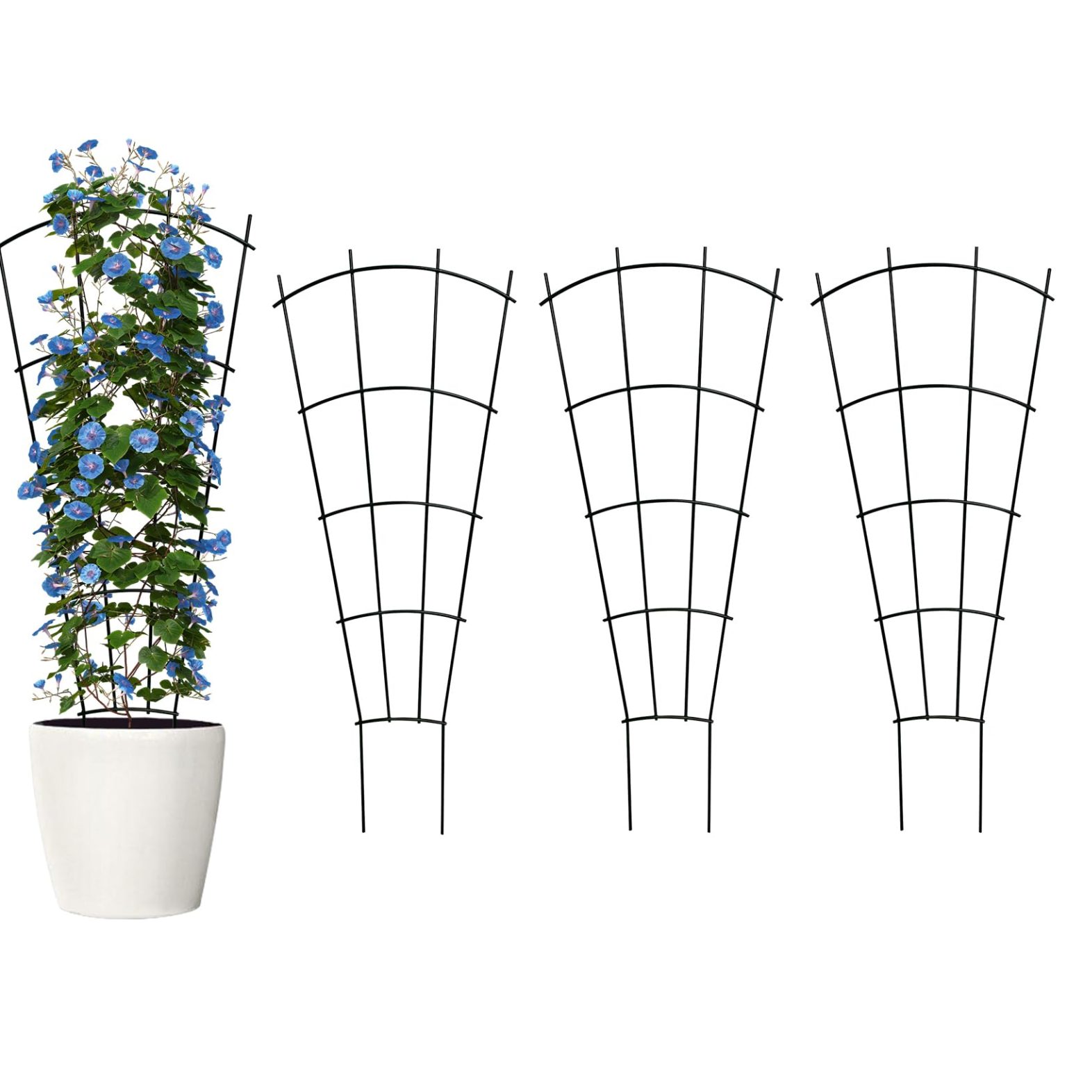 Best Trellises for Climbing Plants: Top Picks for 2026 - PlantNative.org