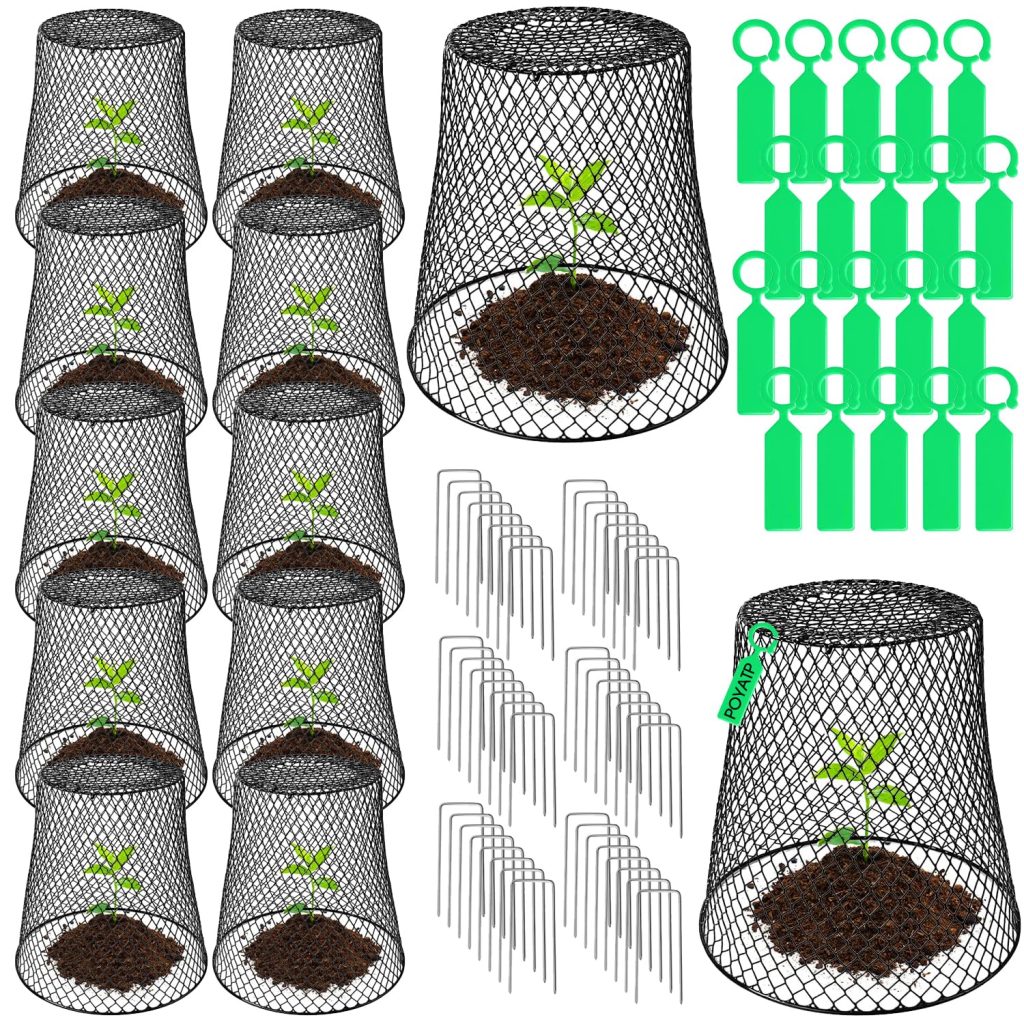 Best Garden Cloches for Young Plants: Protect Your Seedlings with These ...