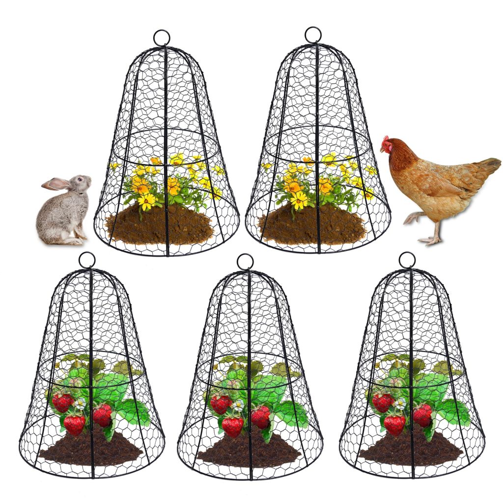 Best Garden Cloches for Young Plants: Protect Your Seedlings with These ...
