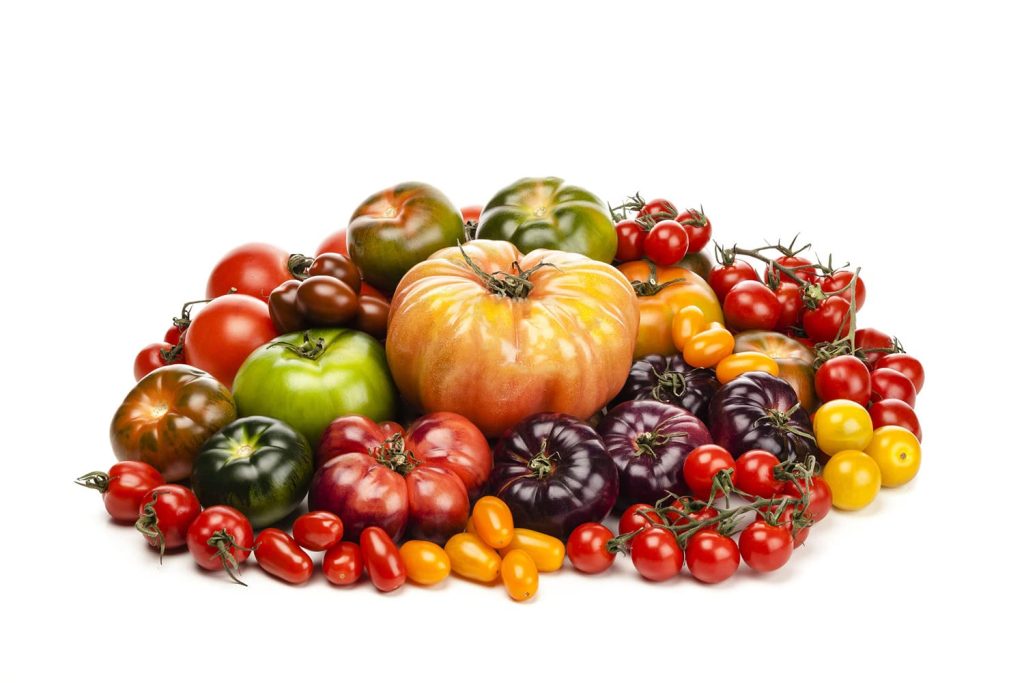 5 Best High-Yield Tomato Varieties for 2026: Top Performers for Your ...
