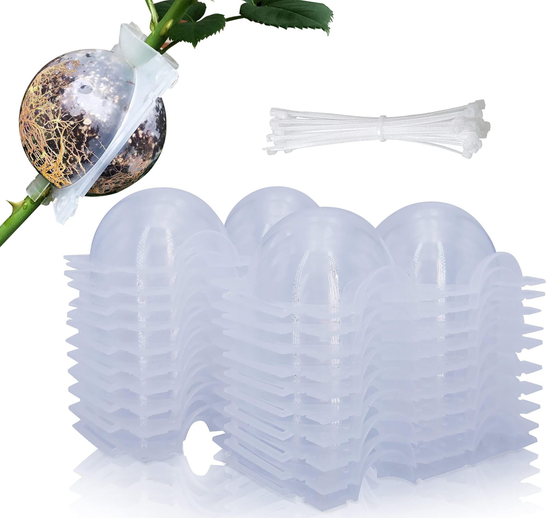 5 Best Plant Propagation Kits for 2026: Top Choices for Home Gardeners ...