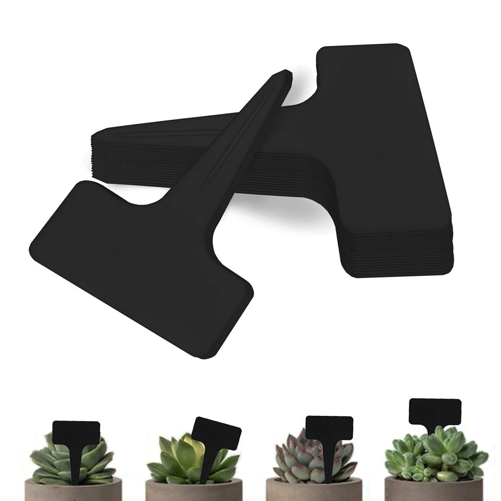 Best Plant Labels for Easy Identification: Top Picks for Gardeners in ...
