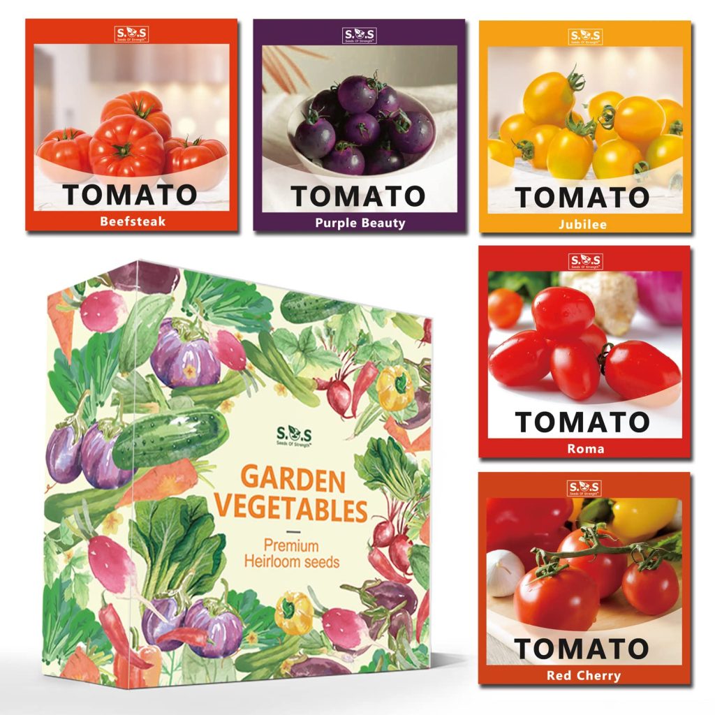 5 Best High-Yield Tomato Varieties for 2026: Top Performers for Your ...