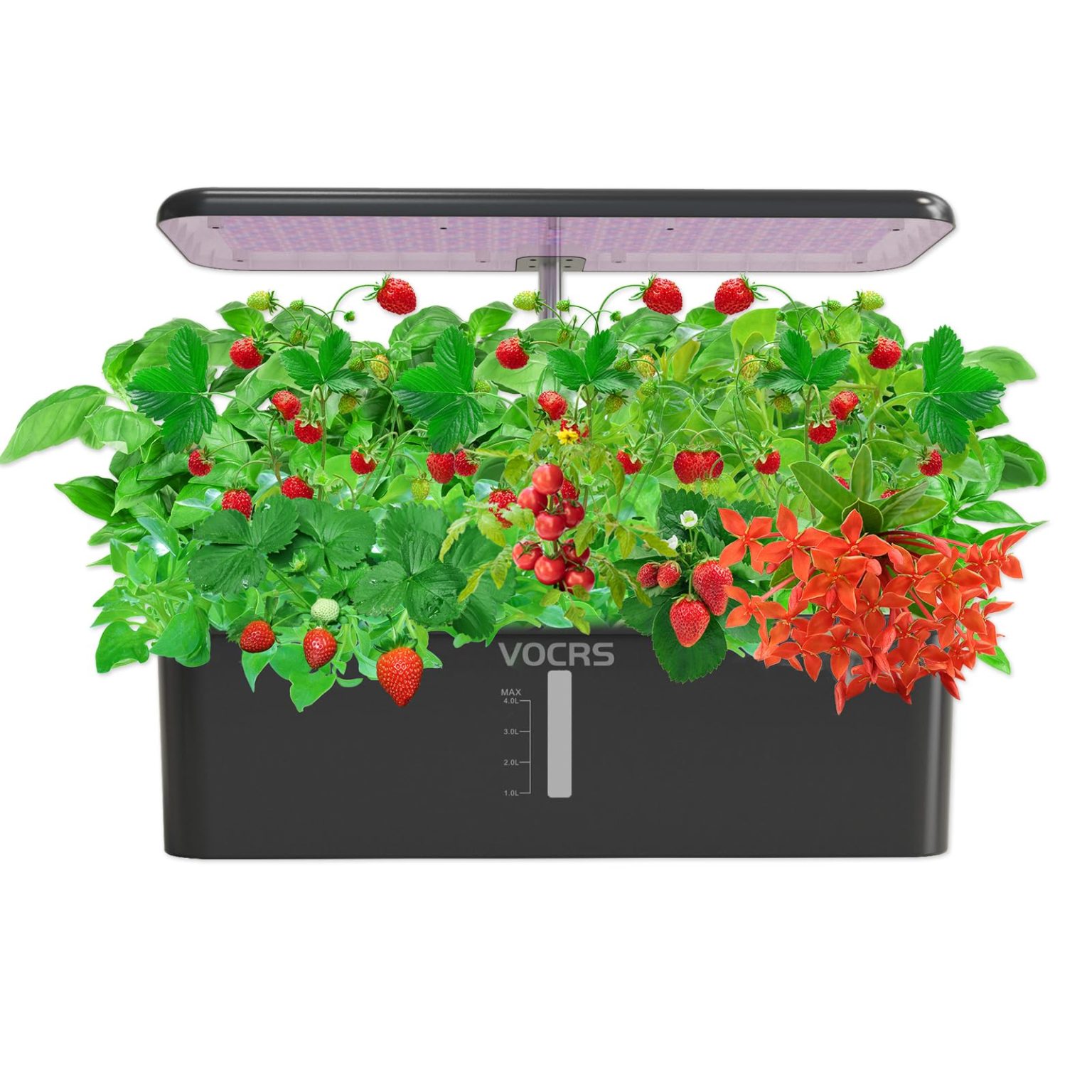 Top 5 Hydroponic Systems for Small-Scale Indoor Farming: Efficient ...