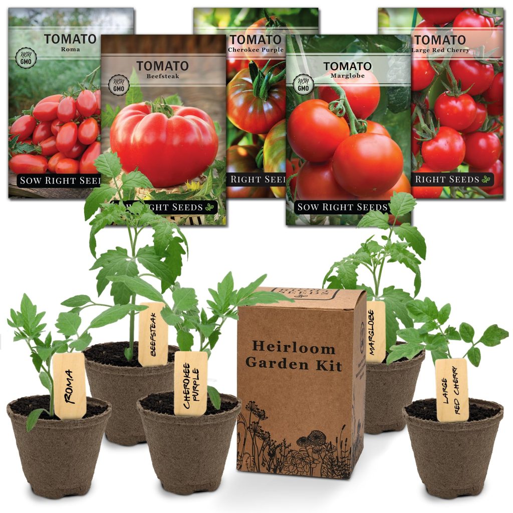 5 Best High-Yield Tomato Varieties for 2026: Top - PlantNative.org