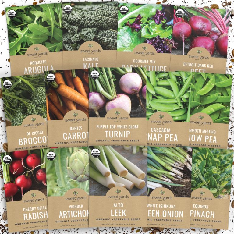 5 Best Heirloom Seed Companies for Rare Varieties in 2026: Top Sources ...